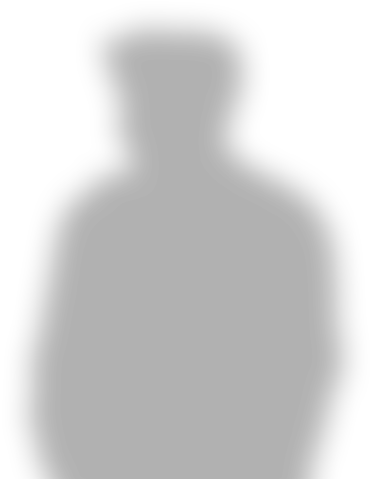 ADVANCED SYSTEMS INC – ADVANCED SYSTEMS INC